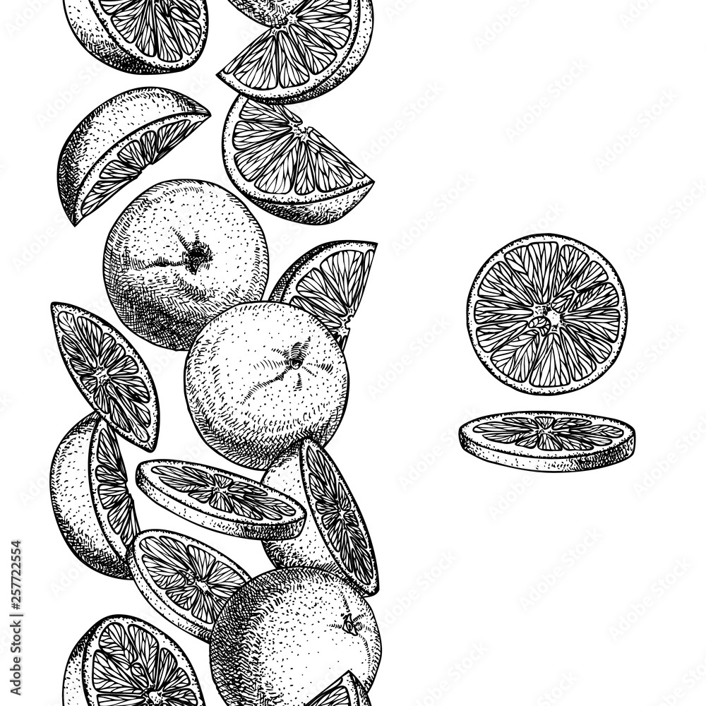 Design template with orange fruit in engraving stile. Seamless brush ...