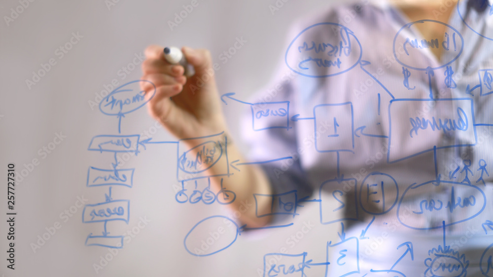 girl draws on the Board. Intellectual map. mind map. education. online ...