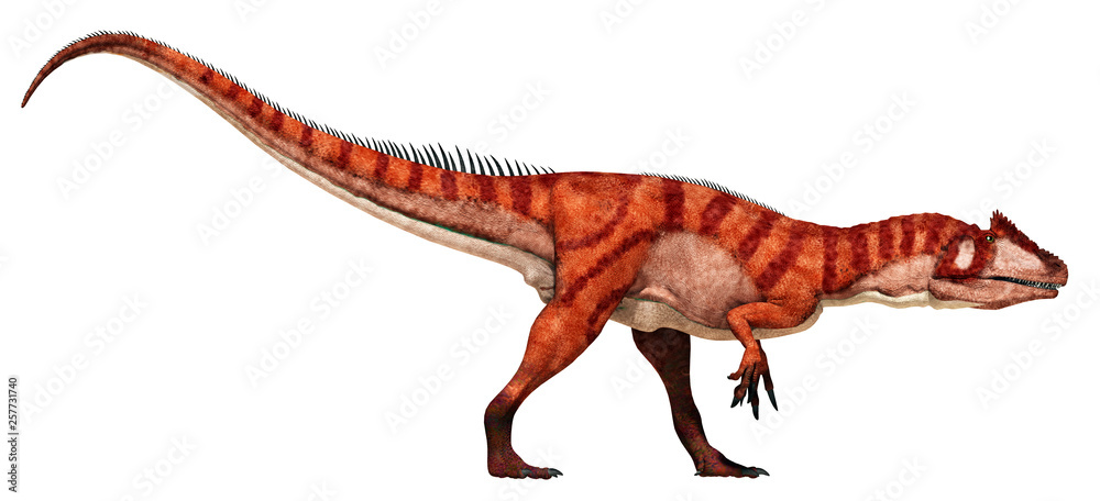 An Allosaurus walks in profile. Perhaps he is out hunting. This ...