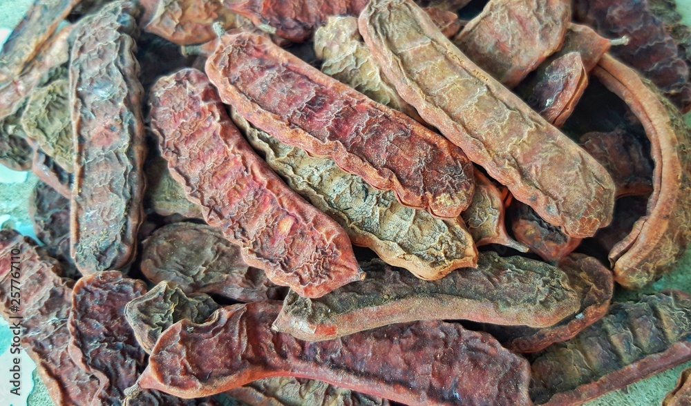 Soap Pod or scientific name that Acacia concinna is very useful herb ...