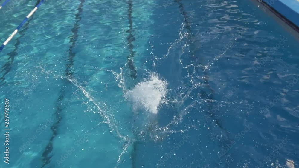 Boy jumping from springboard and diving in Swimming Pool -Slow Motion ...