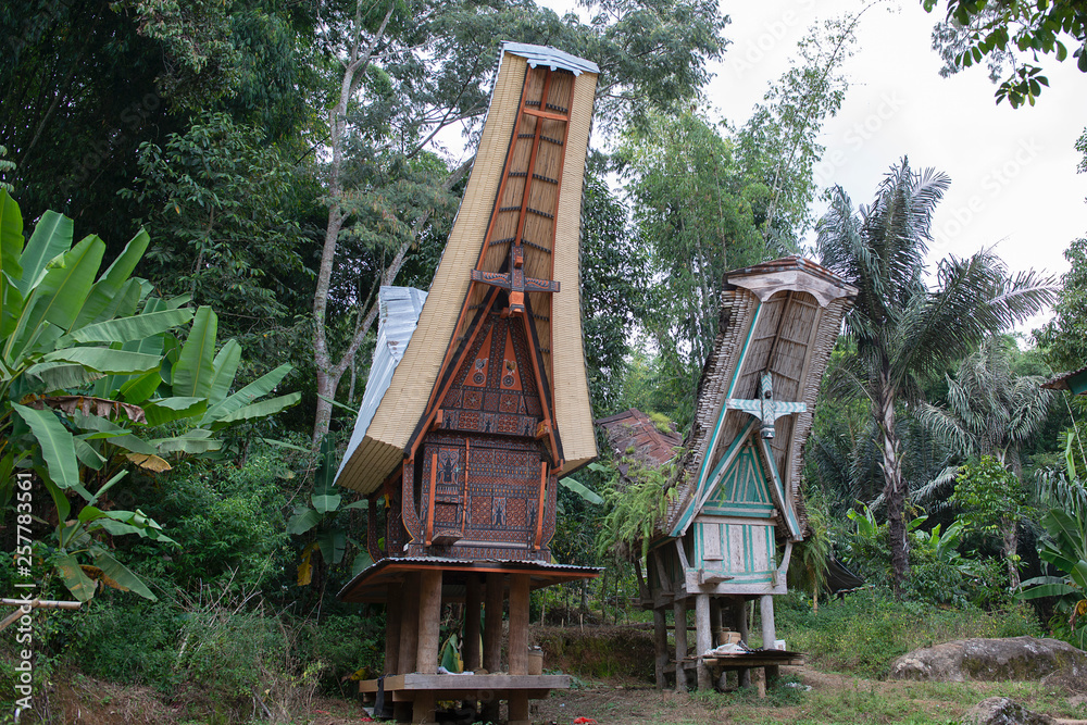 Tongkonan houses, traditional Torajan buildings, Tana Toraja is the ...