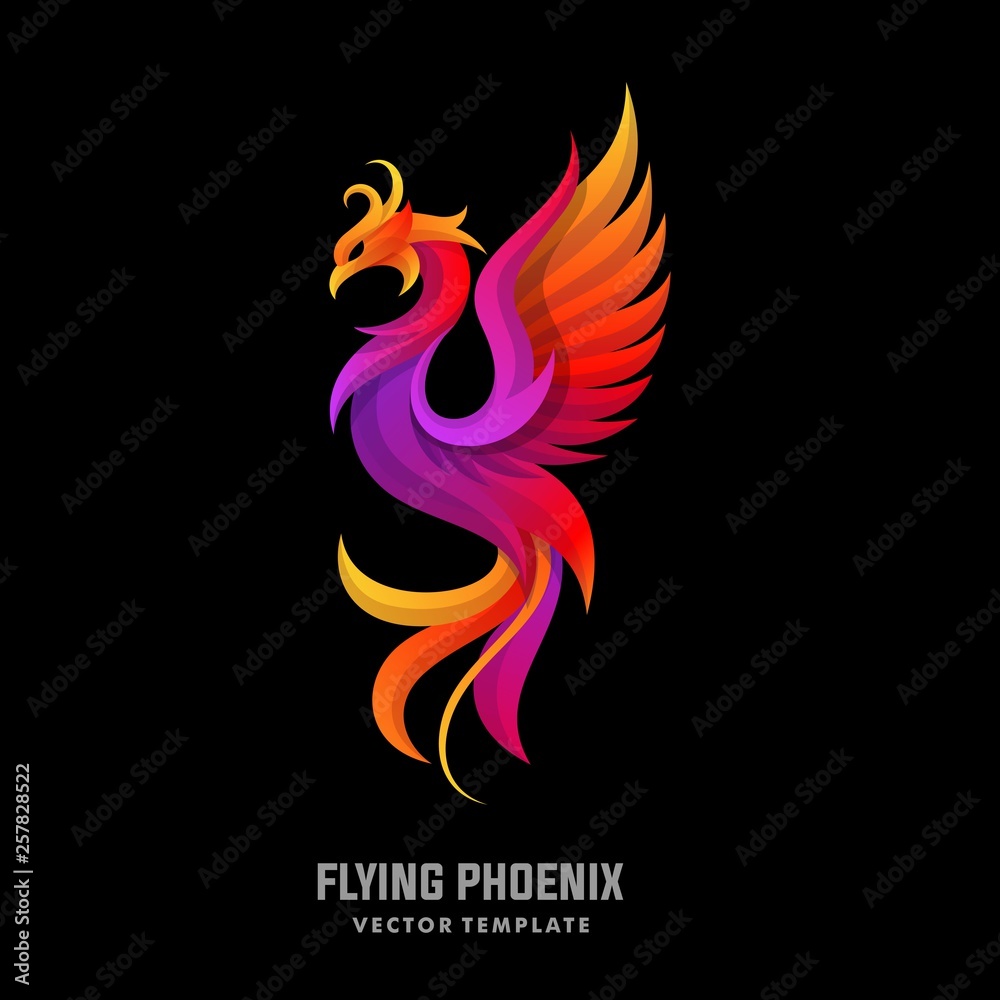 Phoenix Concept Designs illustration vector template Stock Vector ...
