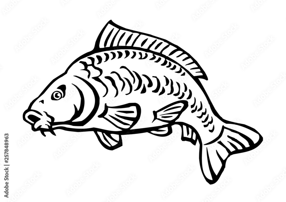 carp fish bald without scales black and white icon Stock Vector | Adobe ...