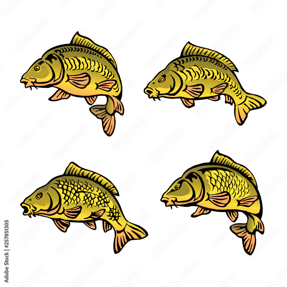 carp fish set of color icons isolated on white background Stock Vector ...