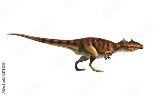 Giganotosaurus, one of the largest known terrestrial carnivores, was a ...