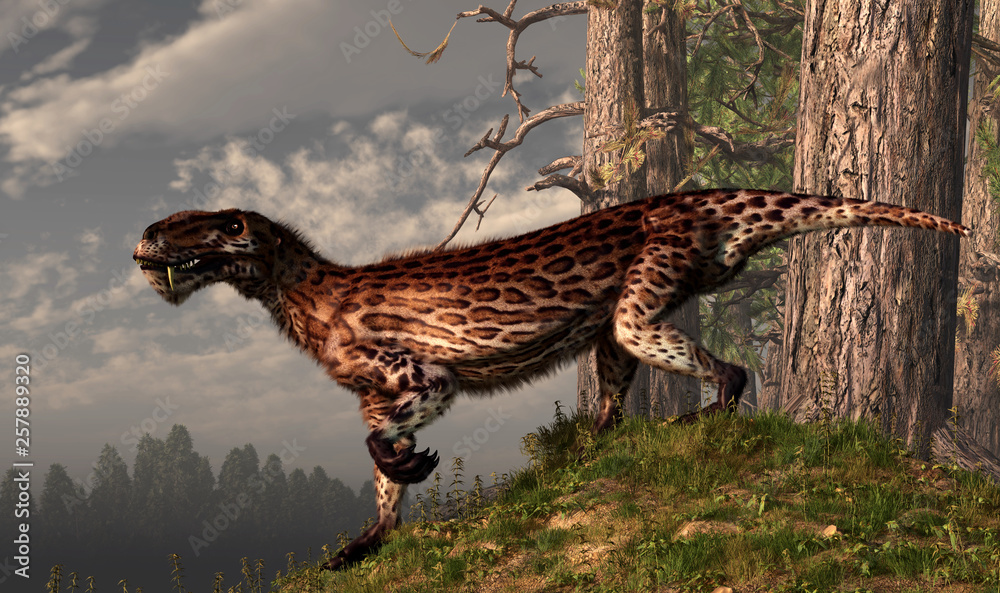 Lycaenops was a member of the Therapsids, an order that includes the ...