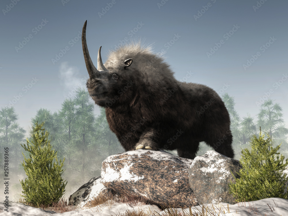 A woolly rhino stands atop some snow covered rocks in a wintry ice age ...