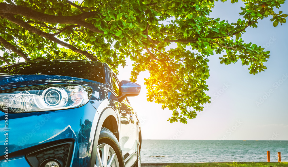 Blue sport SUV car parked by the tropical sea under umbrella tree ...