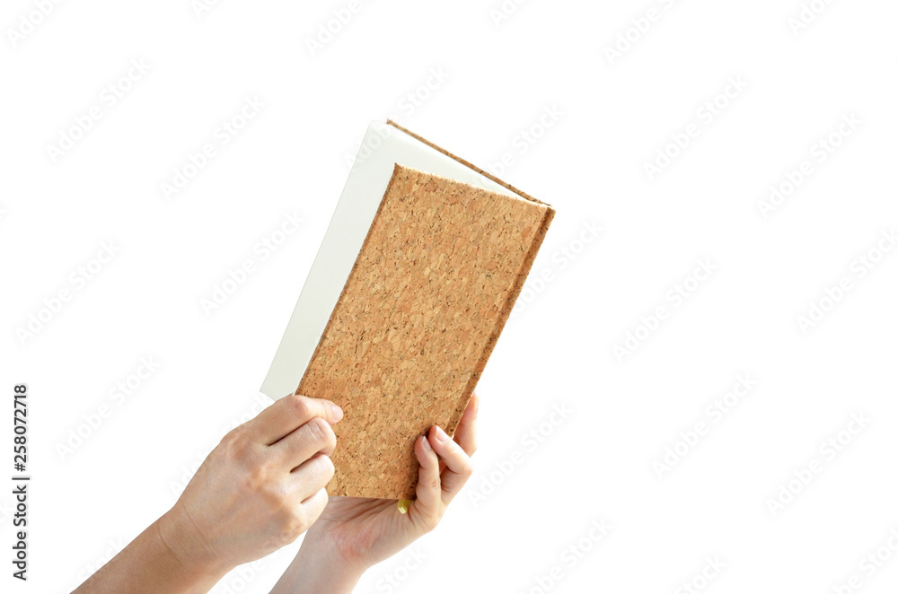 Reading Empty Book. Side View Hand Holding Book isolated on White ...