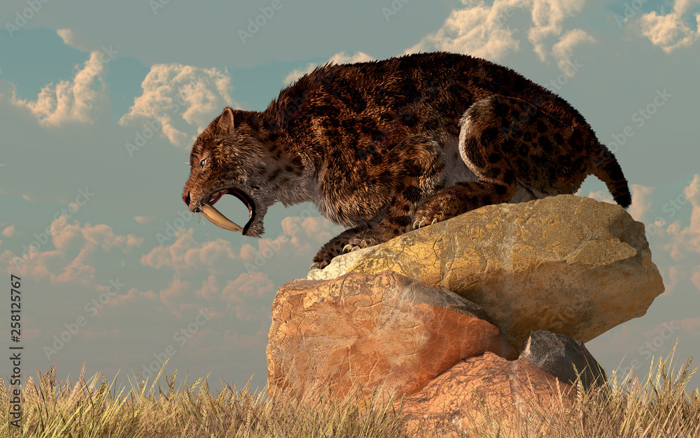 A saber-toothed cat stands atop a boulder on a grassy plain. The ...