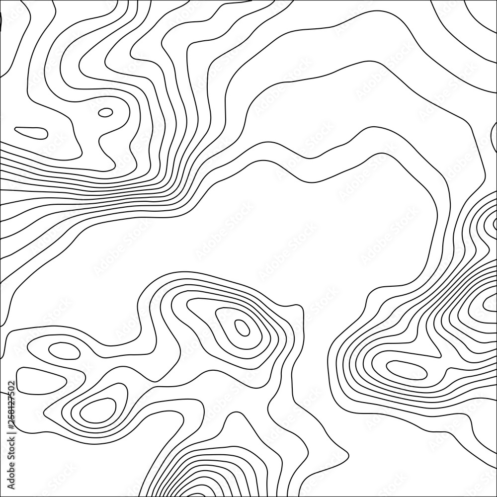 Topographic map background. Geographic World Topography map grid ...