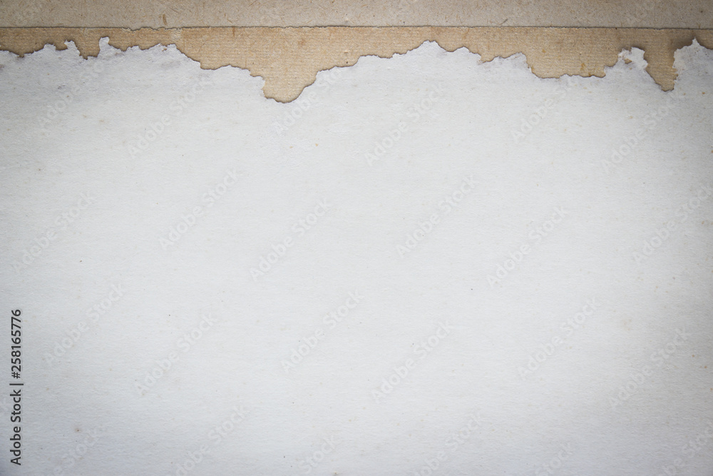 White paper with a ragged edge. The texture of the surface of the old ...