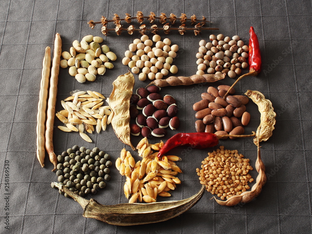 different type of Seeds for Planting in garden, soil, farm, greenhouse ...