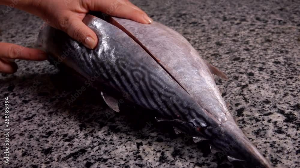Cook cuts along the dorsal fin of large tuna on a gray marble table ...