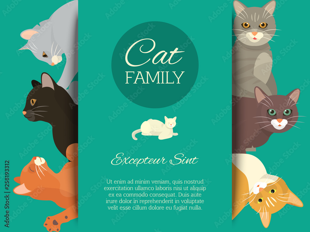 Cats family show banner grooming or veterinary feline flyer vector ...