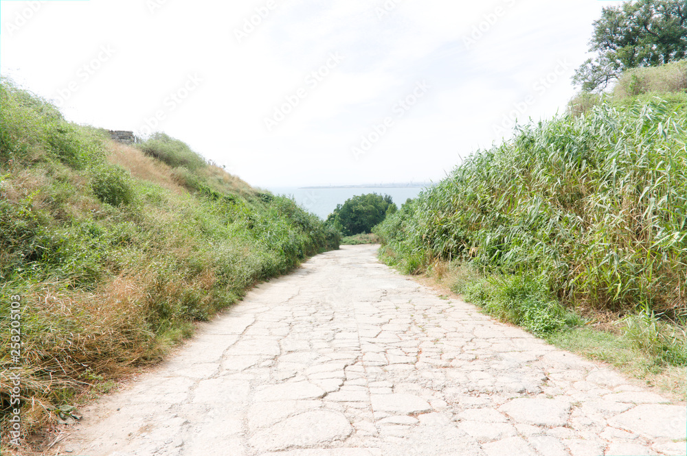 Beach and dunes with beachgrass in summer, stone path leading to the ...