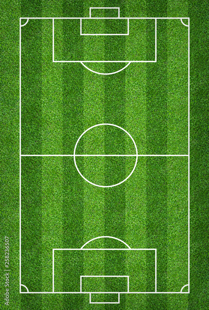 Football field or soccer field for background. Green lawn court for ...