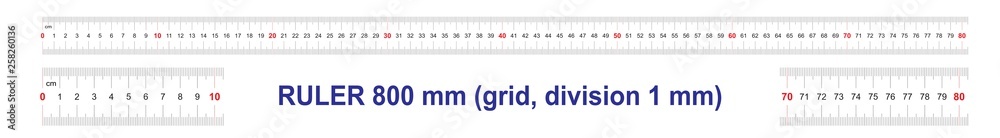 Ruler of 800 millimeters. Ruler of 80 centimeters. Calibration grid ...