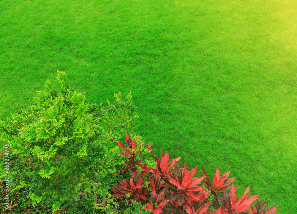 Landscaped formal garden park design top view, green grass with bush ...