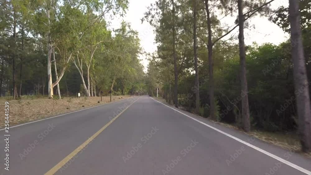 Driving along a beautiful beachside road full of tall trees in Hua Hin ...