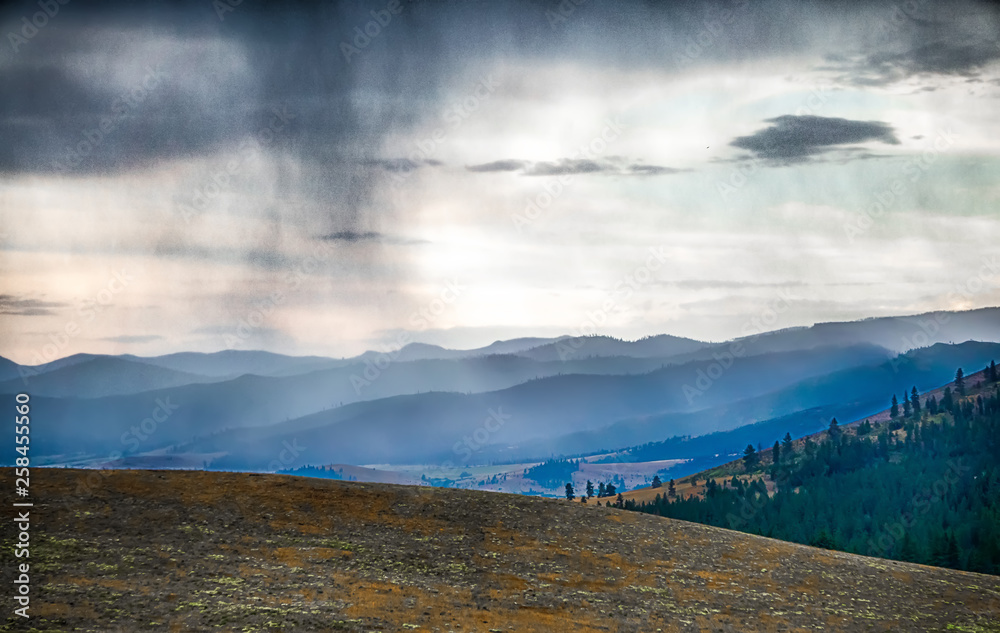 nature and scenes around flathead national forest montana Stock Photo ...