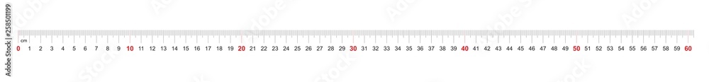 Grid for a ruler of 600 millimeters, 60 centimeters. Calibration grid ...