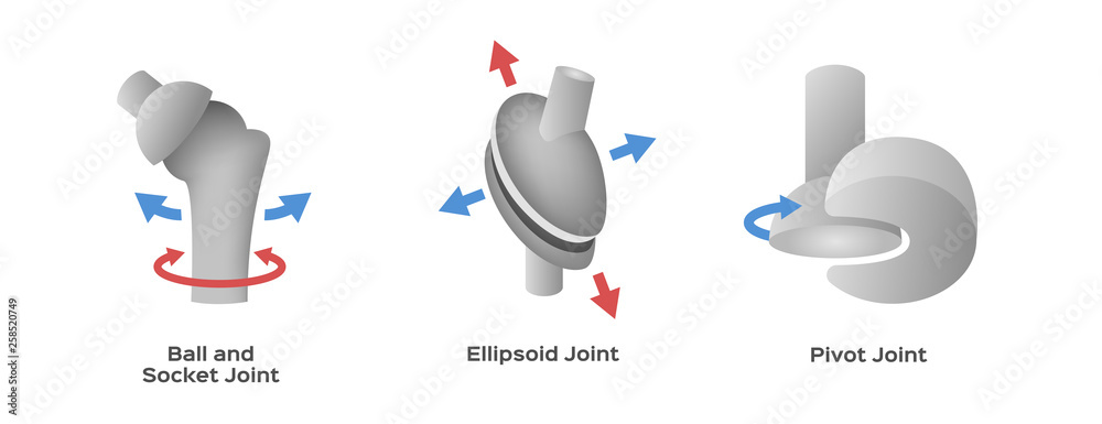 joint type vector Stock Vector | Adobe Stock