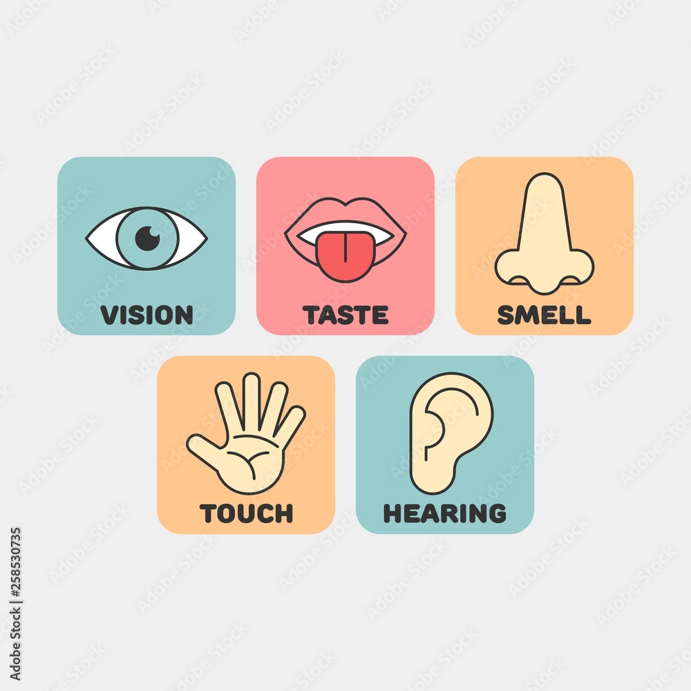 Sense organs flat vector icons. Hearing, smell, touch, vision, taste ...