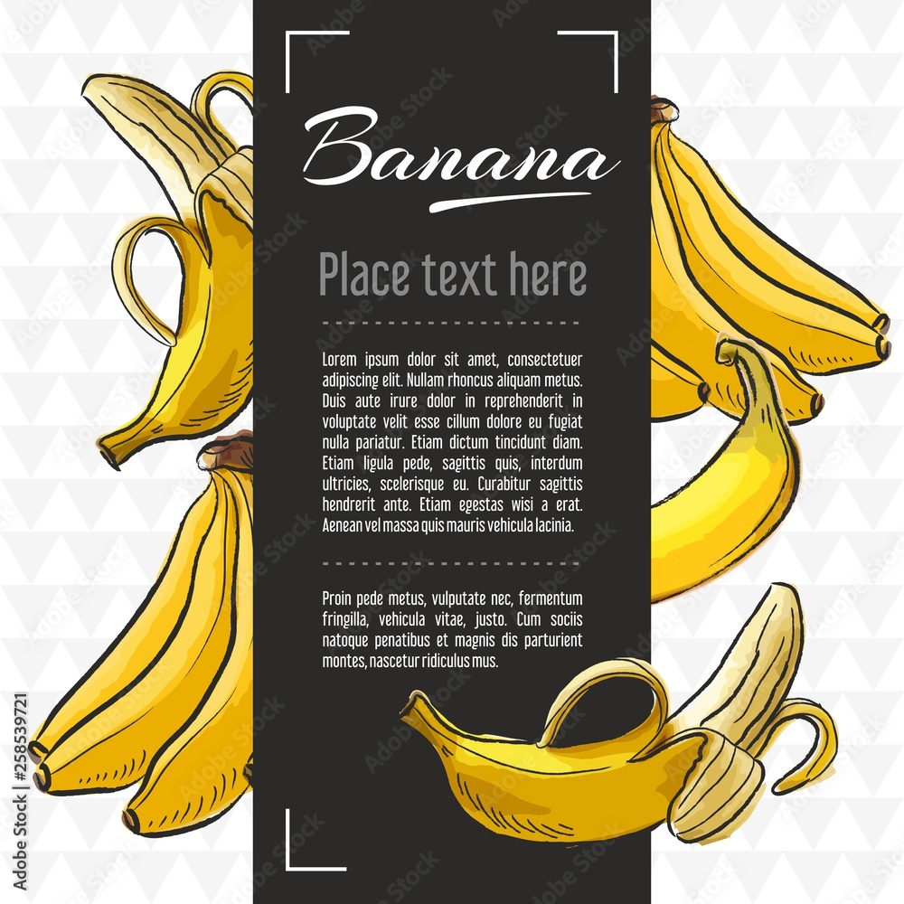 Banana fruit vector menu design templates. Vector fruit illustration ...