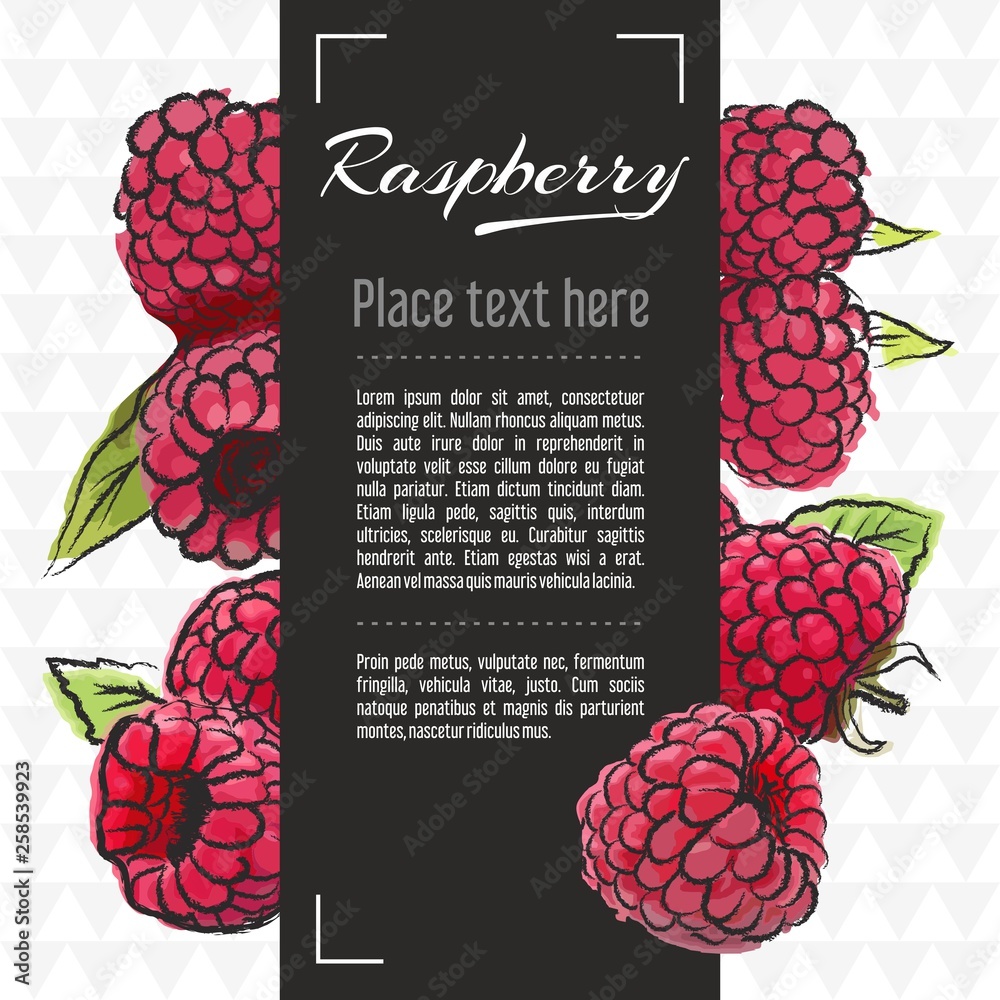 raspberry fruit vector menu design templates. Vector fruit illustration ...