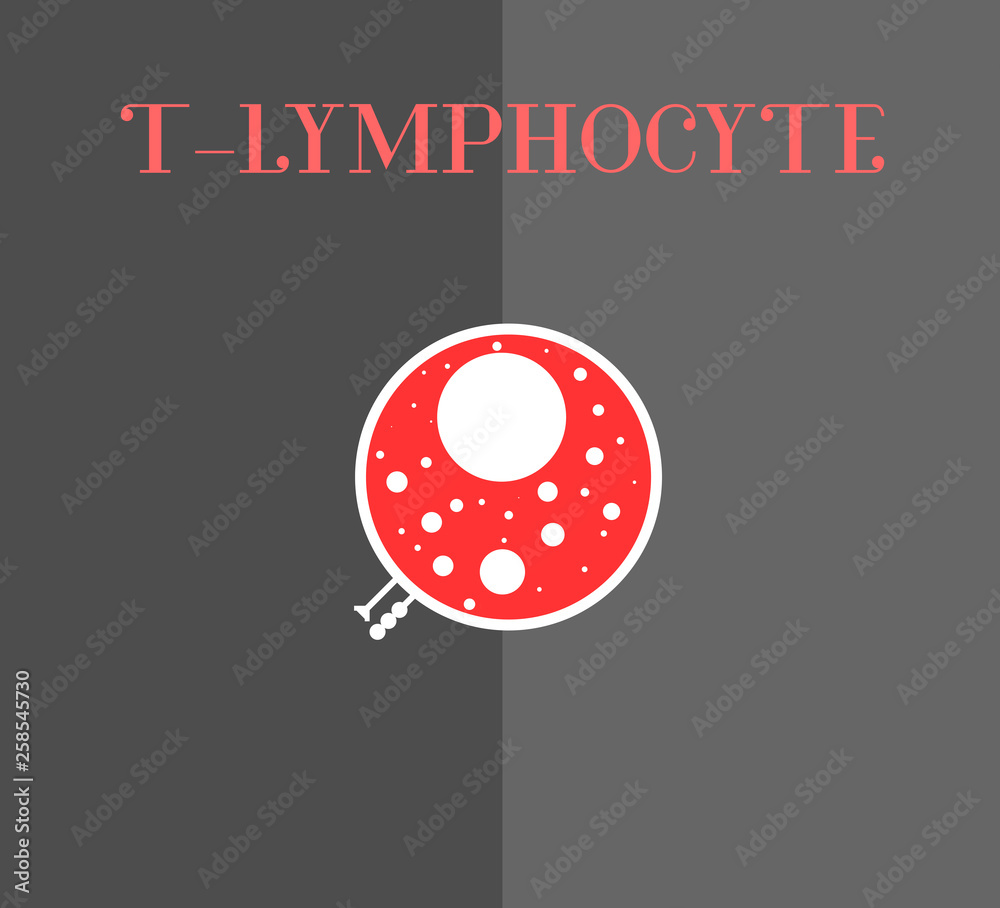 T lymphocyte illustration in red and white. Immune cell icon, logo ...