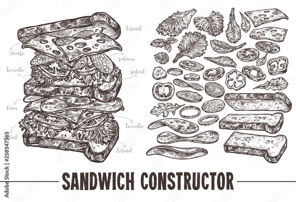 Hand drawn monochrome vector sandwich with ingredients. Sketch ...