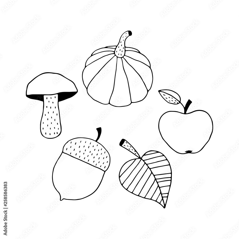 Outline autumn symbols of hand drawn pumpkin, mushroom, acorn, leaf and ...