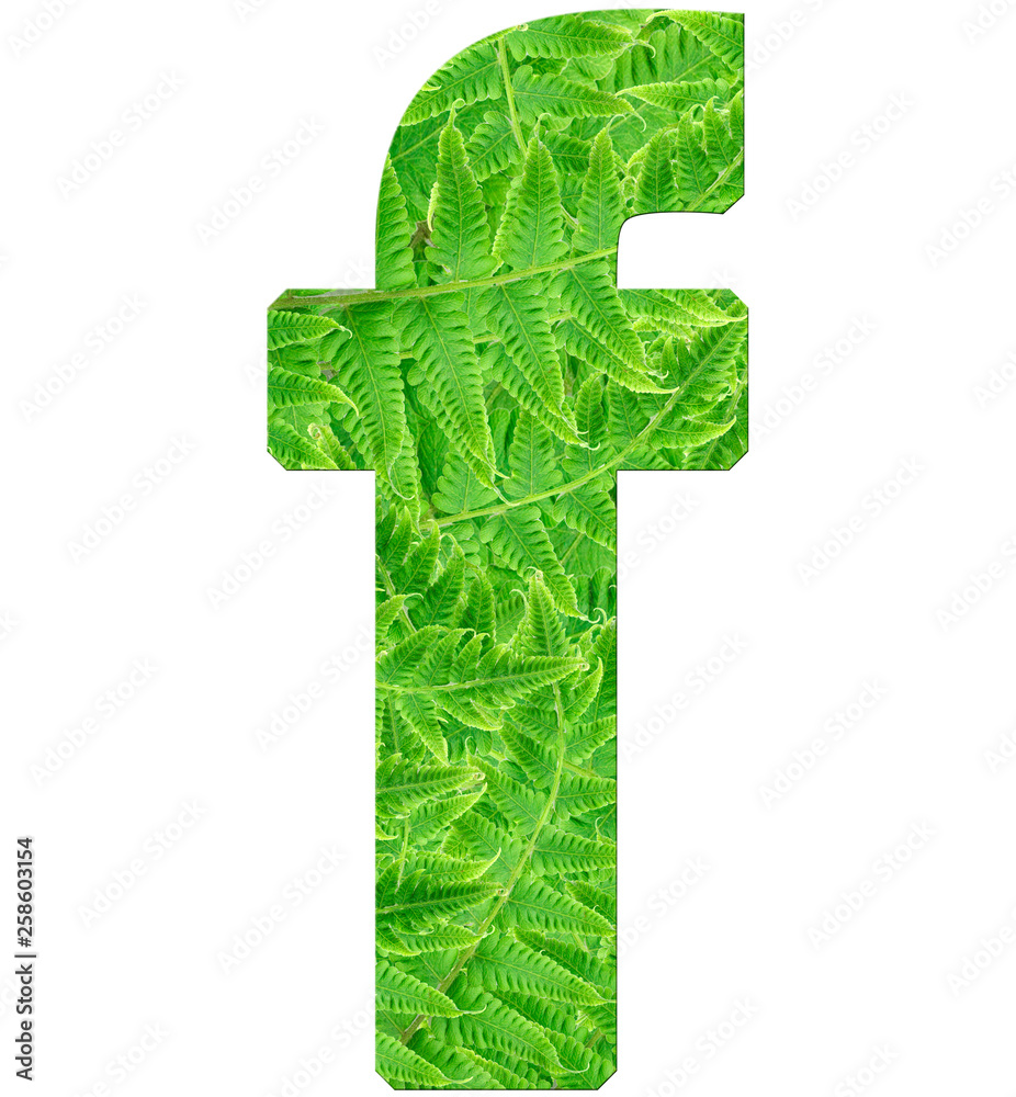 letter f with texture of fern leaves, font Helvetica Word Stock Photo ...