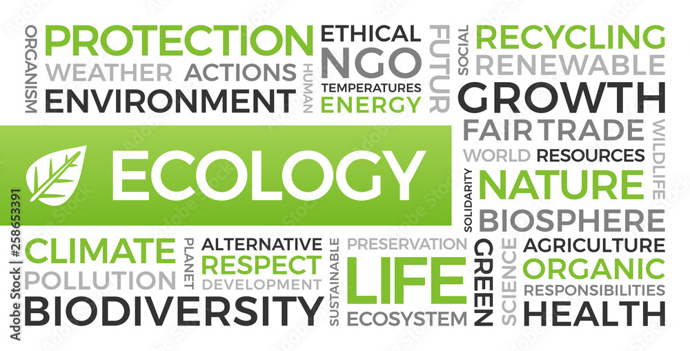 Ecology, Environment, Sustainable development - Word Cloud Stock Vector ...
