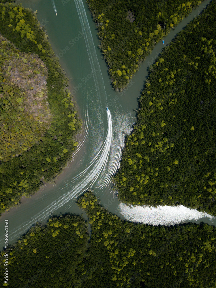 Aerial view of river in mangroves in Kilim Geoforest Park, Langkawi ...