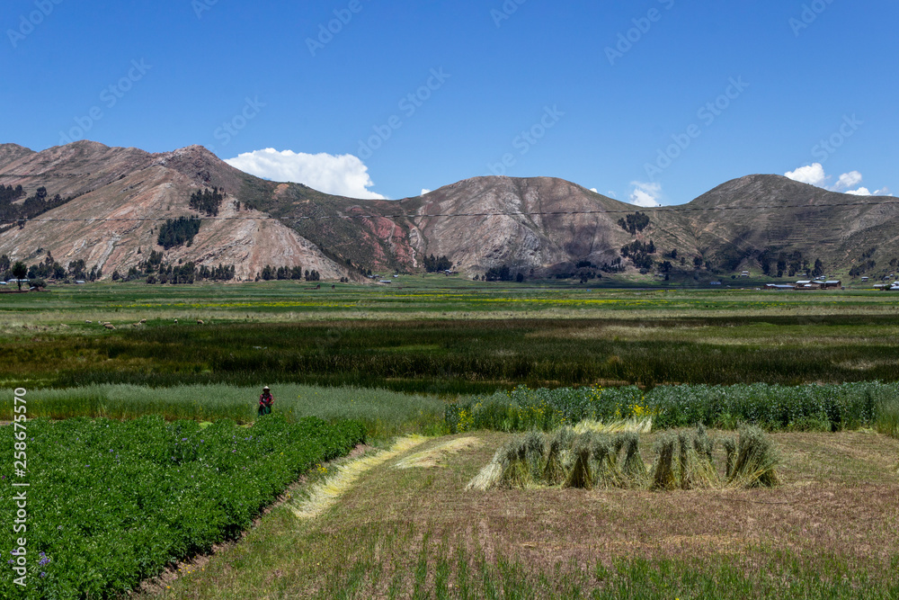 Hermoso paisaje de nuestros pueblos andinos Stock Photo | Adobe Stock