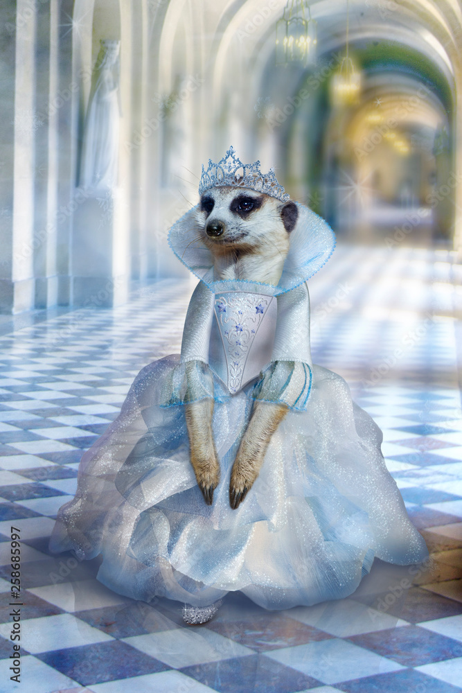 Beautiful cute princess (mouse, meerkat) in long light blue dress walks ...