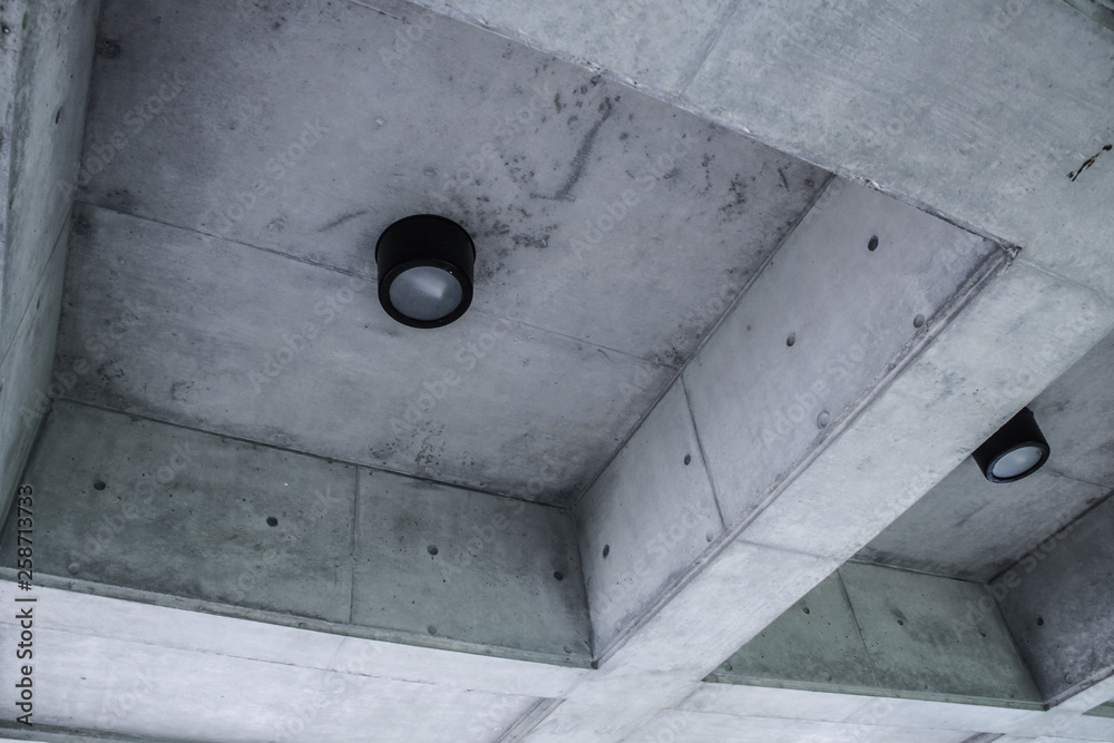 Ceiling In Concrete Slabs | Americanwarmoms.org