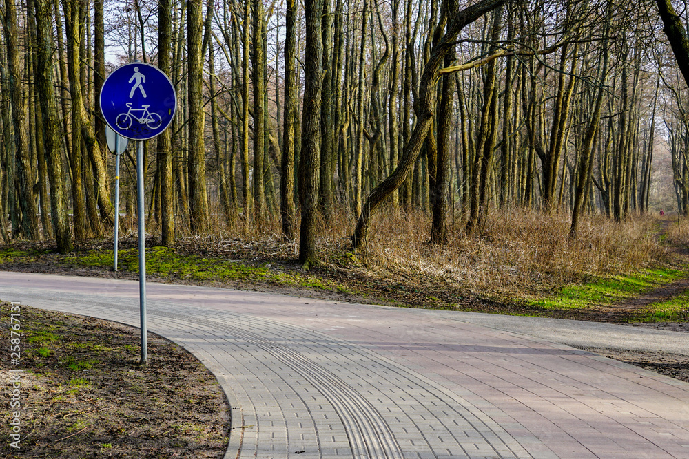 paved pedestrian and cycling path with integrated guidelines for people ...