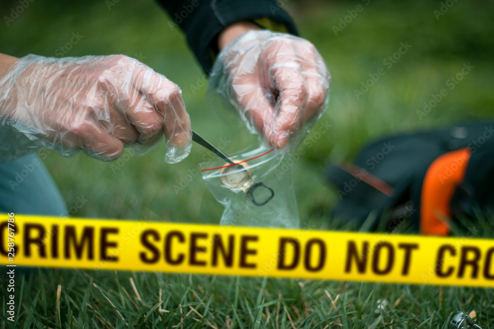 Crime scene expert collecting evidence at the murder location. Law and ...