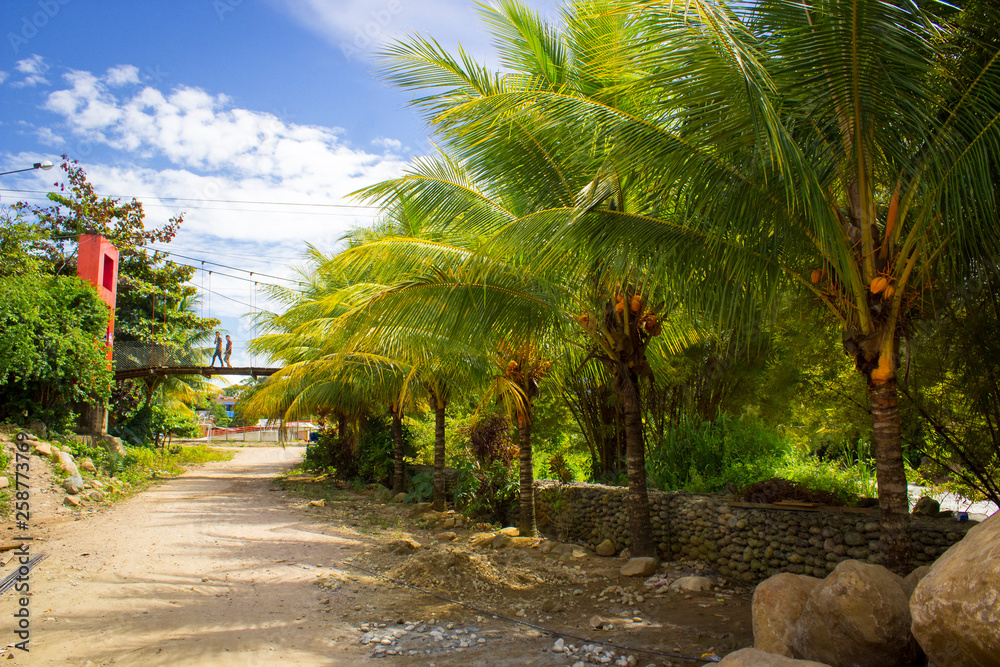 paisajes de la selva central peruana - Junín Perú Stock Photo | Adobe Stock