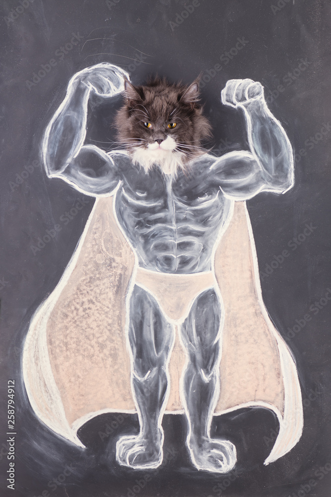Strong cat is a superhero. Caricature bodybuilder. Cat bodybuilder ...