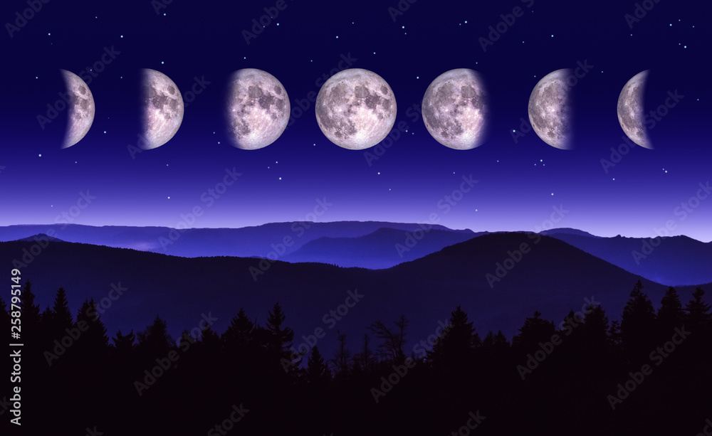 Moon phases illustration. Scenic Night landscape of the different ...