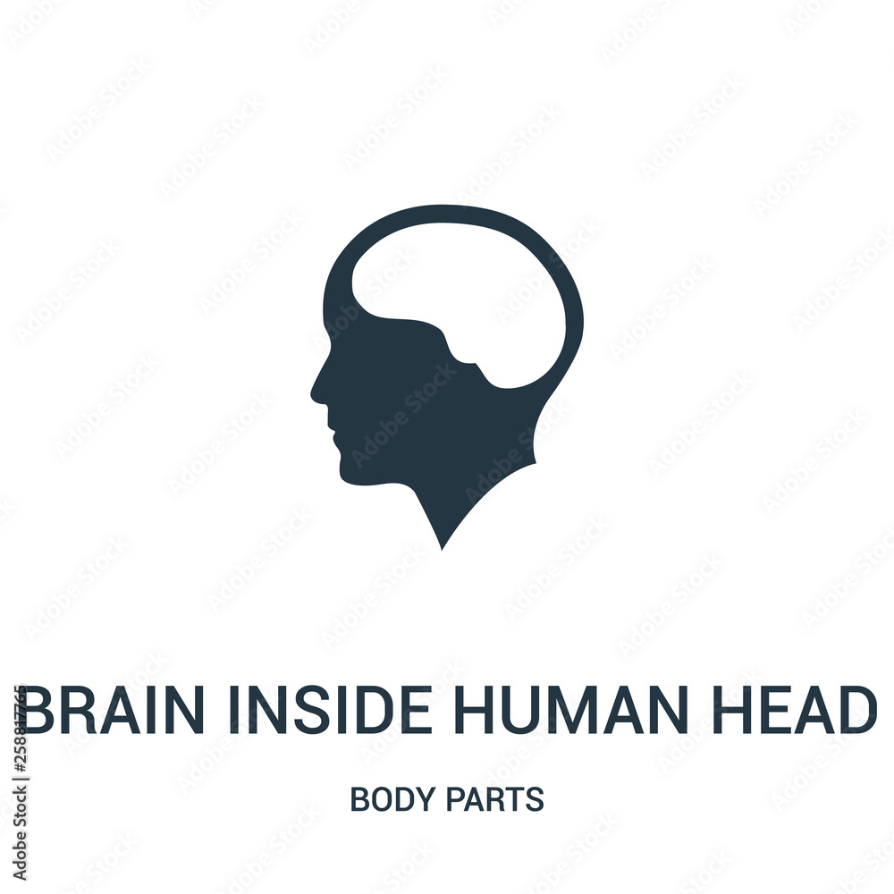 brain inside human head icon vector from body parts collection. Thin ...