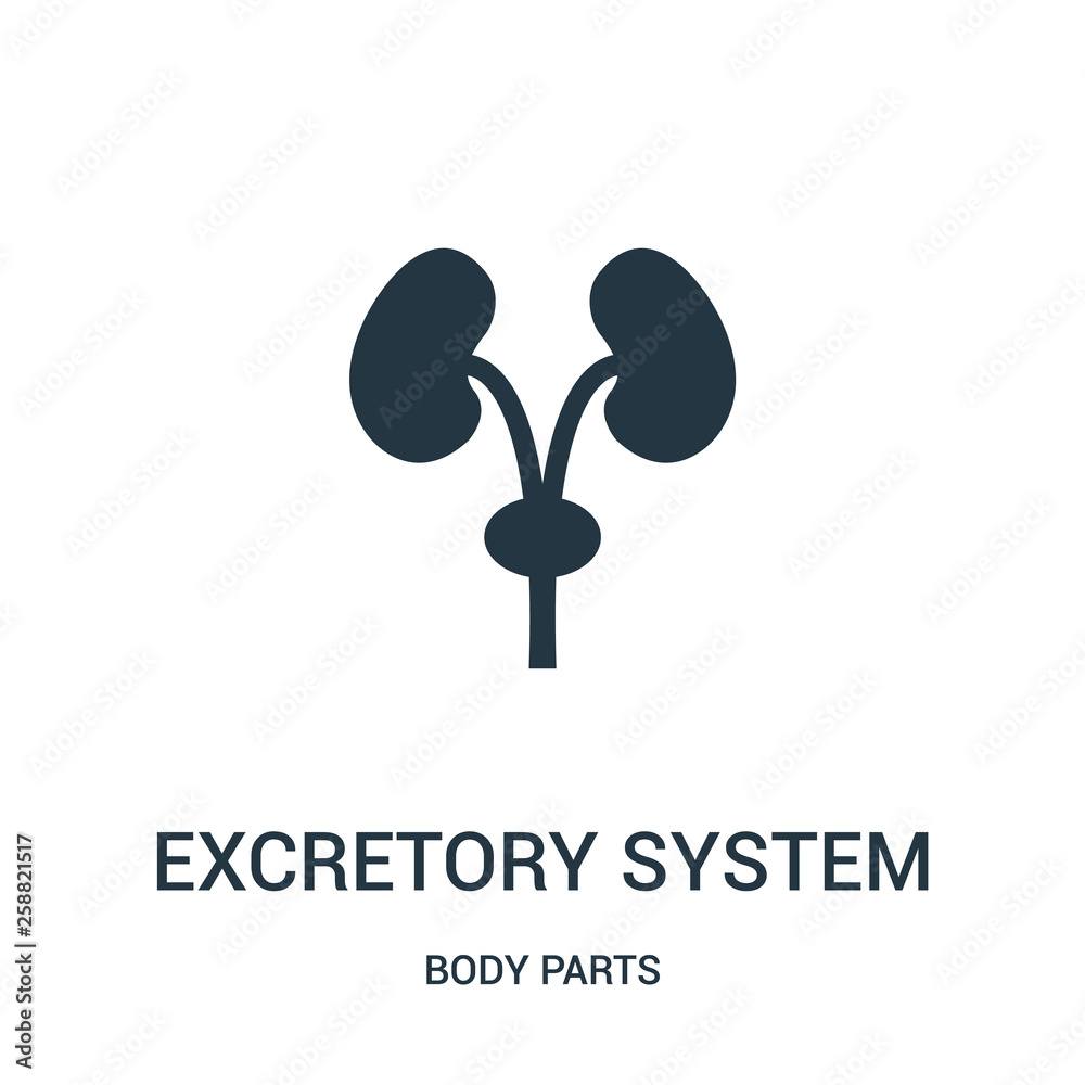 excretory system silhouette icon vector from body parts collection ...