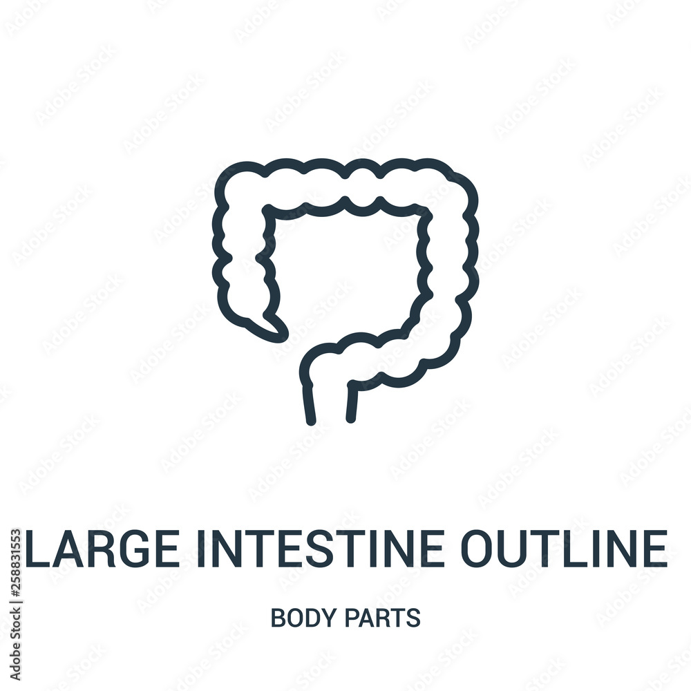 large intestine outline icon vector from body parts collection. Thin ... large intestine outline icon vector from body parts collection. Thin ...