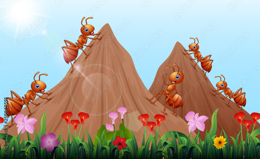 Cartoon ants colony with ant hill Stock Vector | Adobe Stock