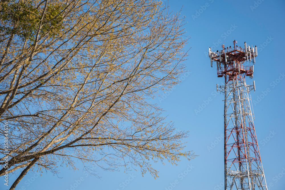 A tall metal cellular tower with a tree set on a clear blue sky ...